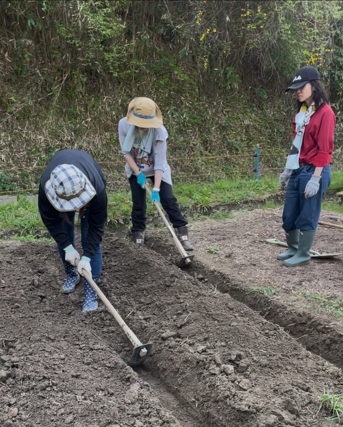 NAVY FARM講座① ～ サツマイモ植え付け ～ – Community Studio NAVY